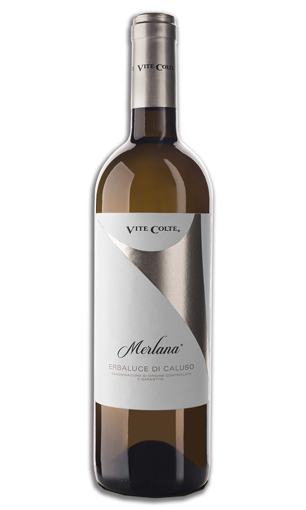 Erbaluce di Caluso DOCG | Vite Colte Winery in Barolo